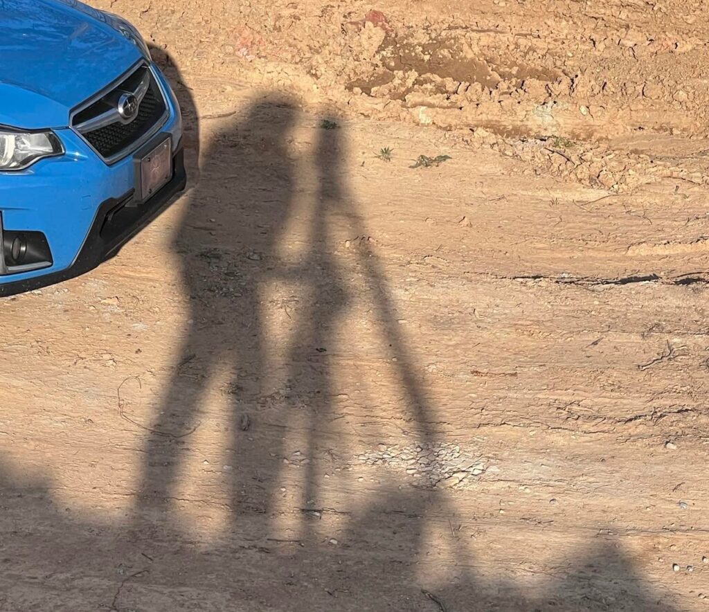 Services – Trees-Stone Surveying