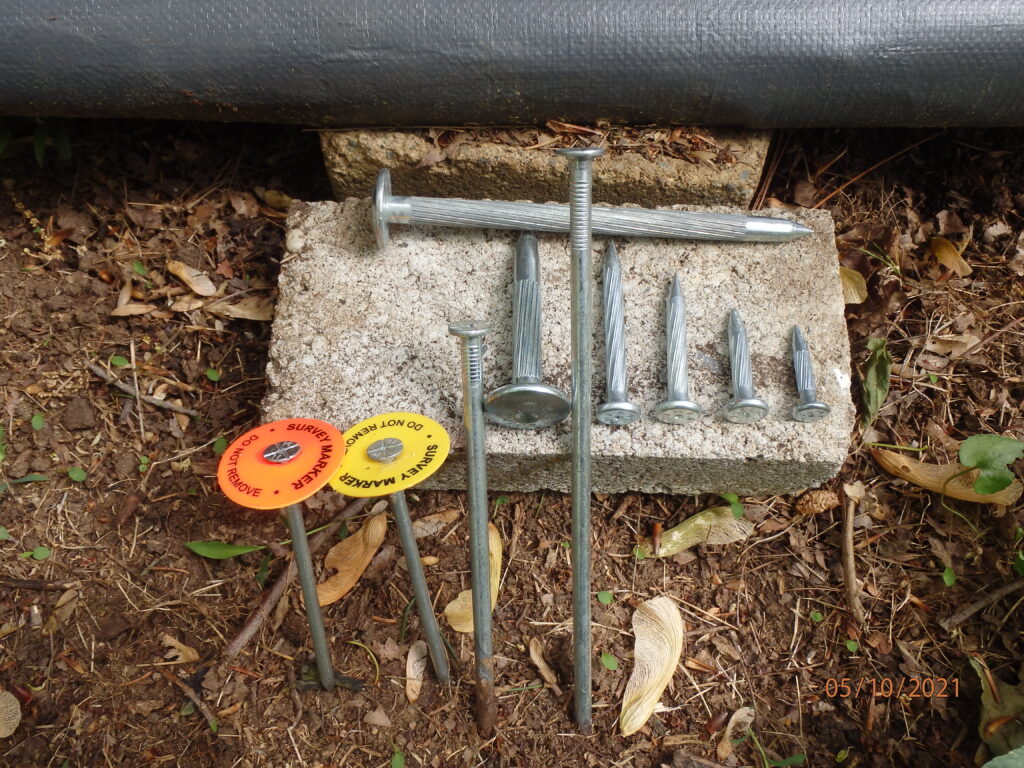 Services – Trees-Stone Surveying